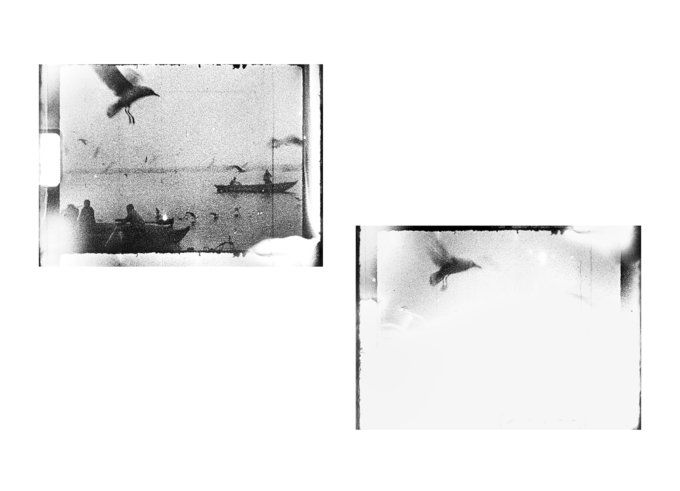 Michael Ackerman - Photography