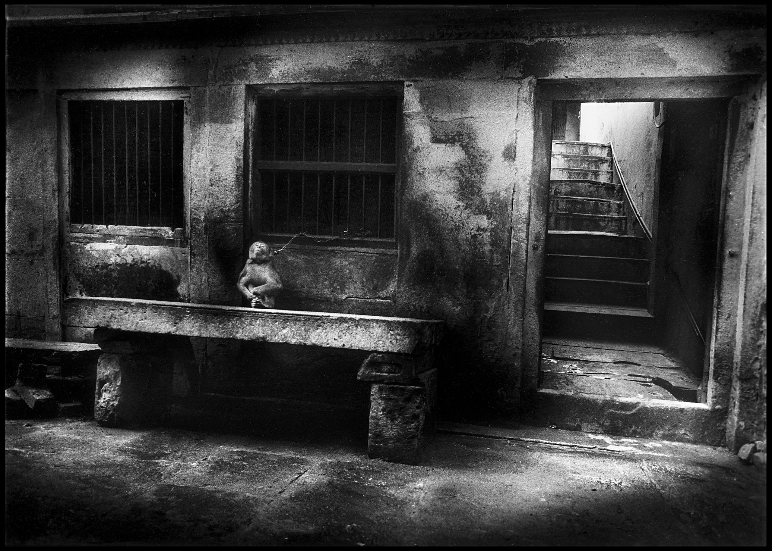 Michael Ackerman - Photography