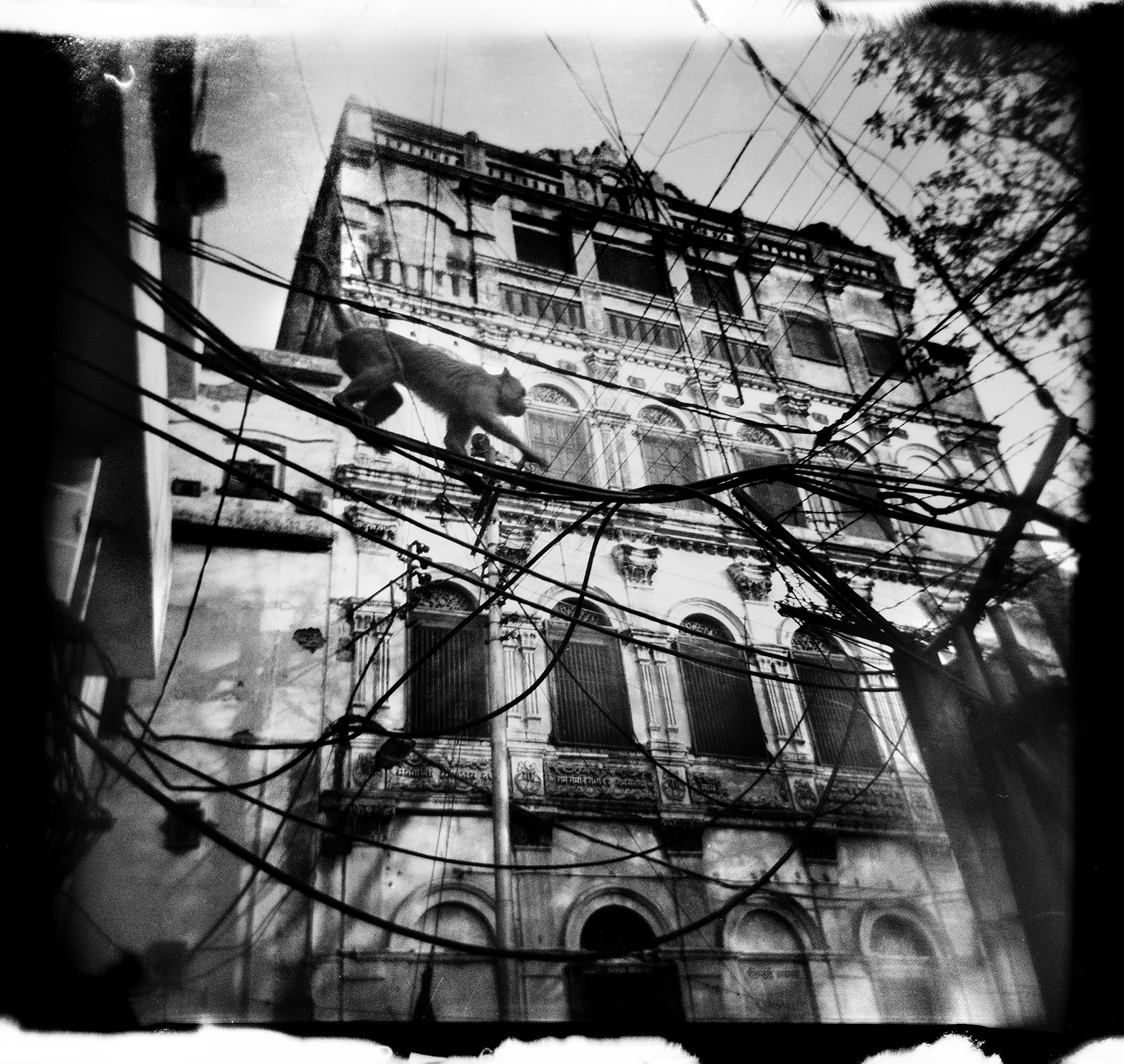 Michael Ackerman - Photography