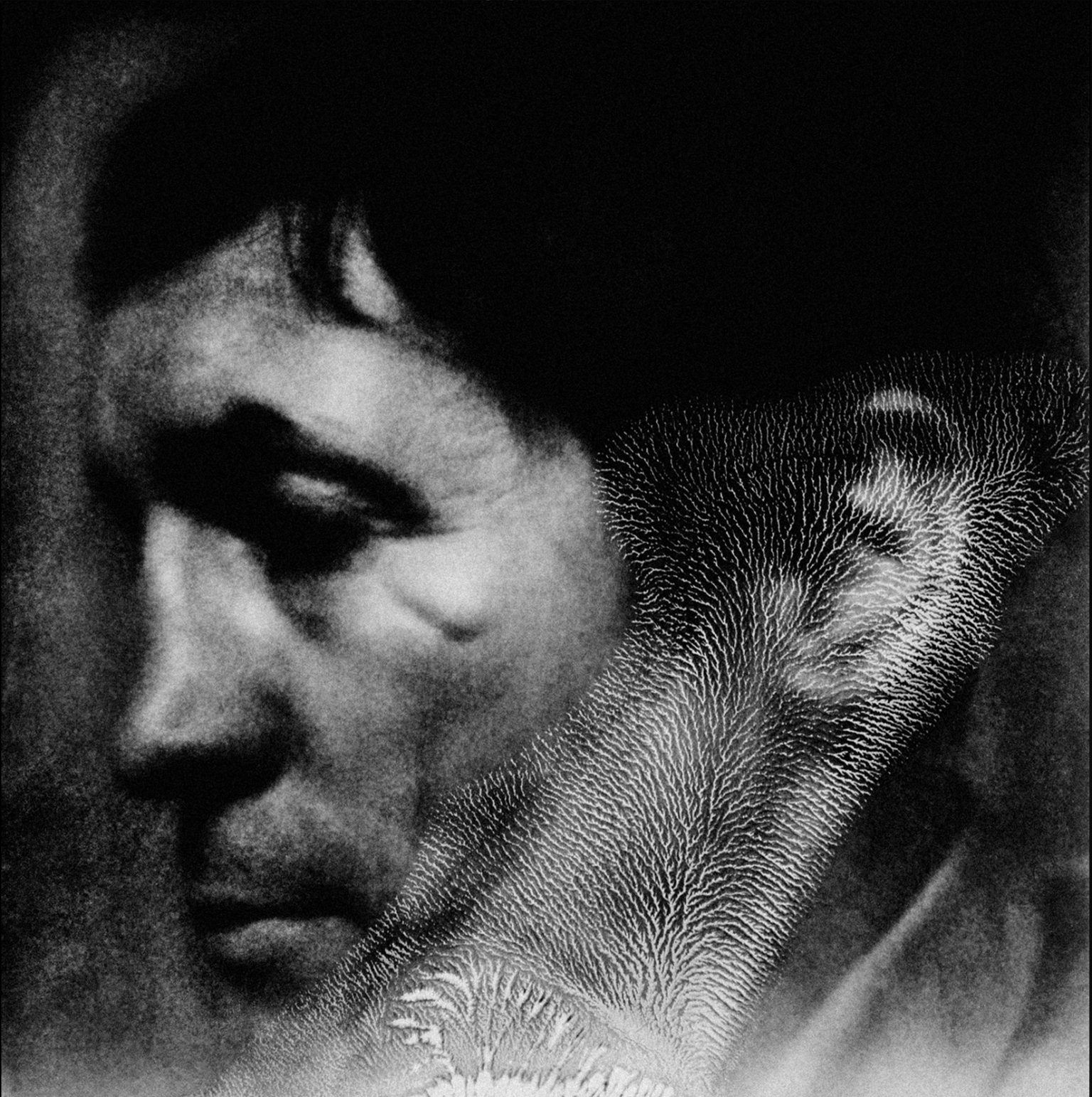 Michael Ackerman - Photography