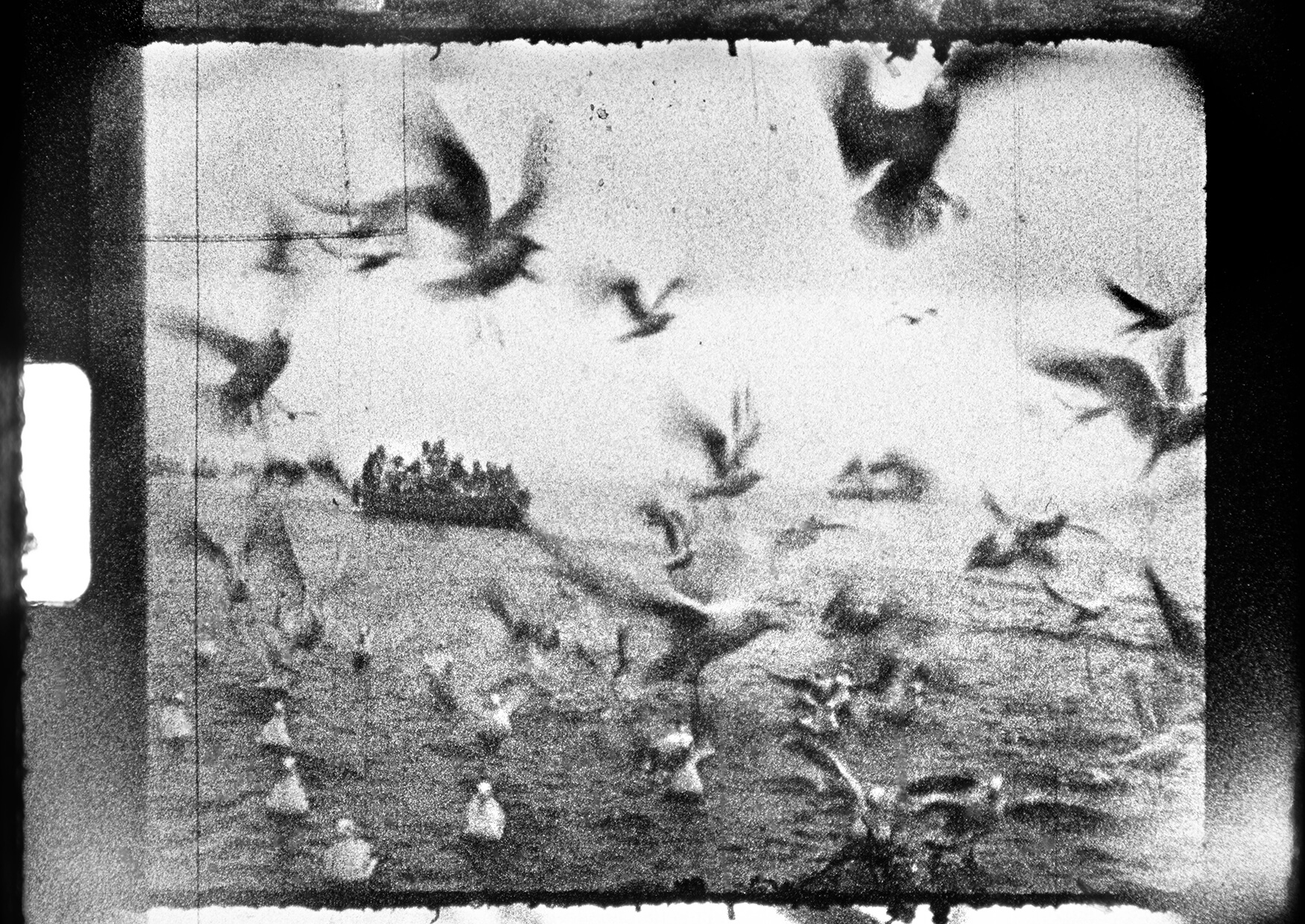 Home - Michael Ackerman