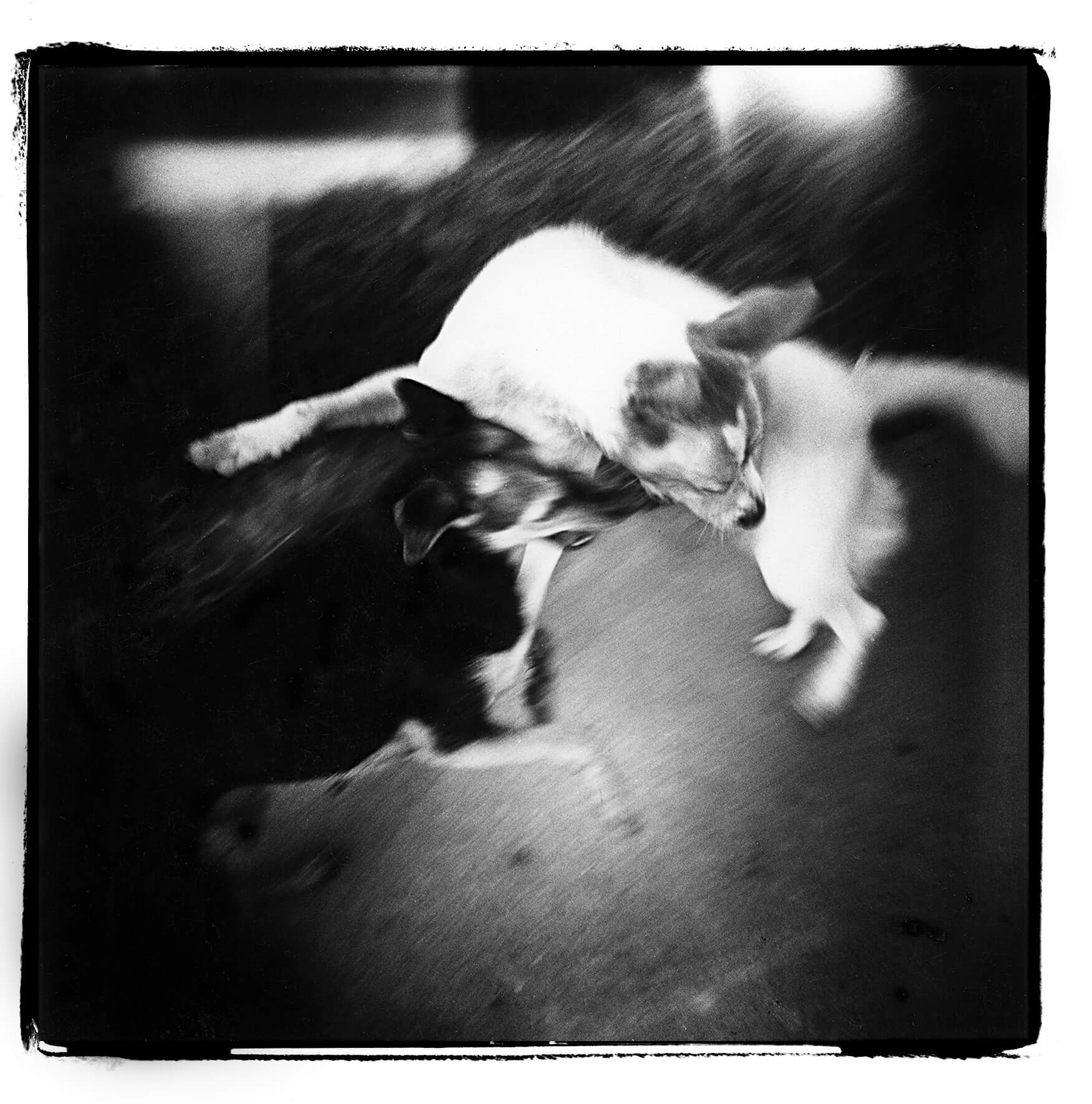 Michael Ackerman - Photography