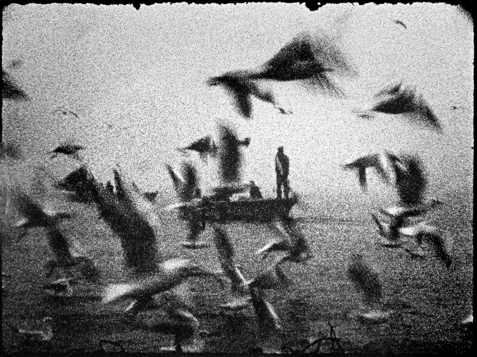 Michael Ackerman - Photography