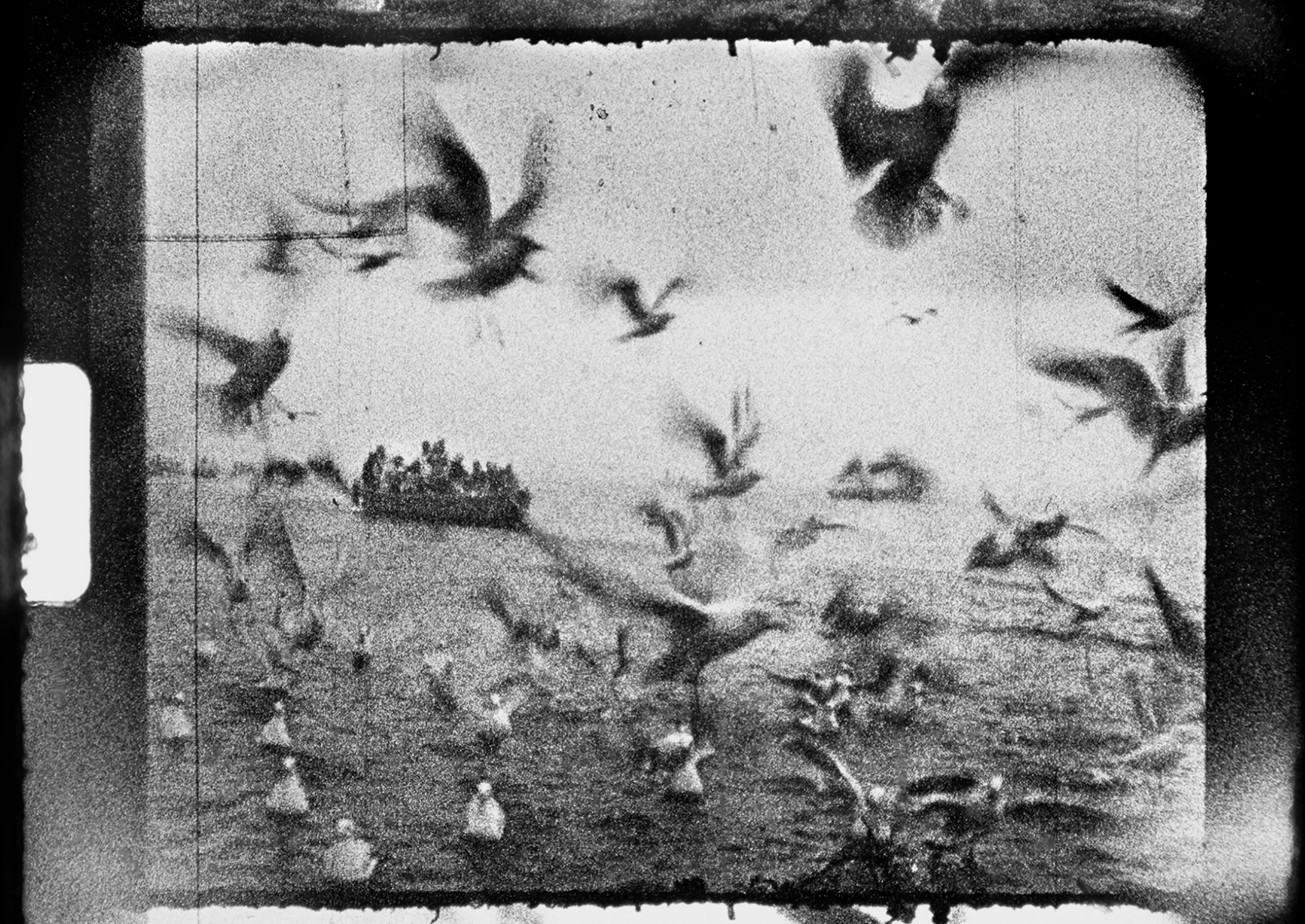 Michael Ackerman - Photography