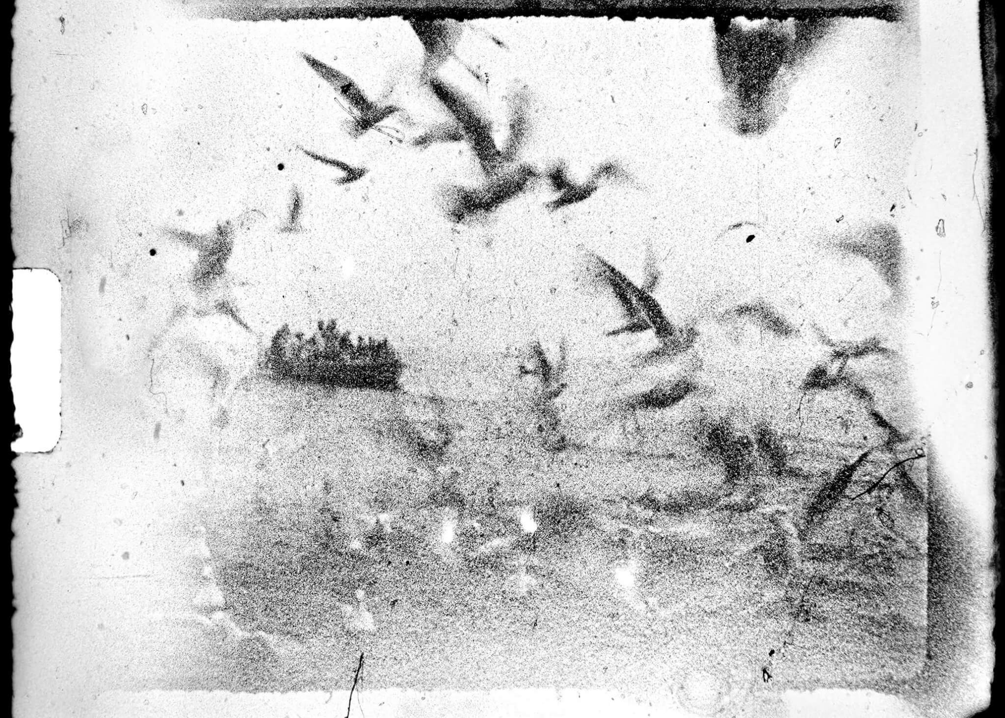 Michael Ackerman - Photography