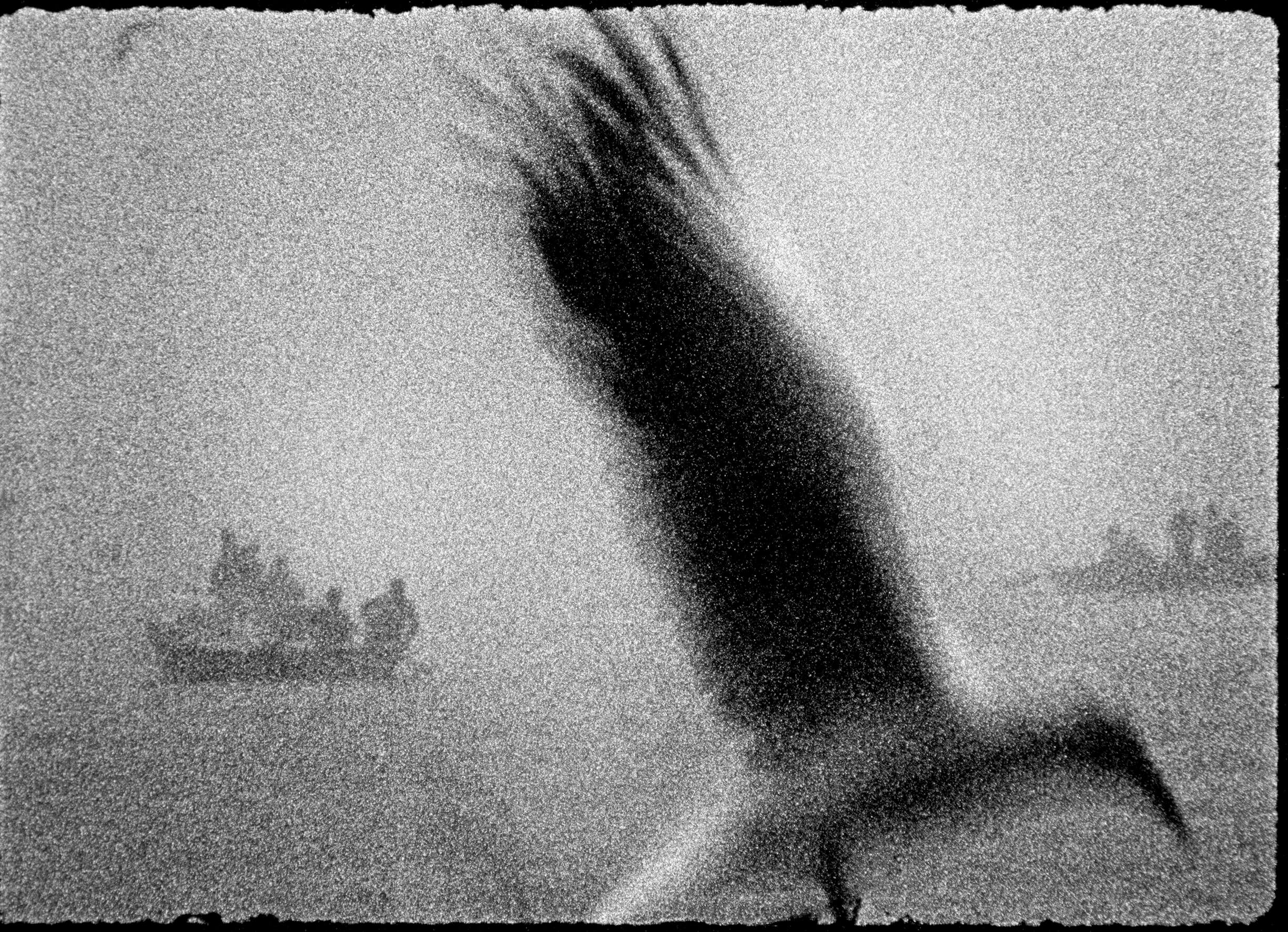 Michael Ackerman - Photography