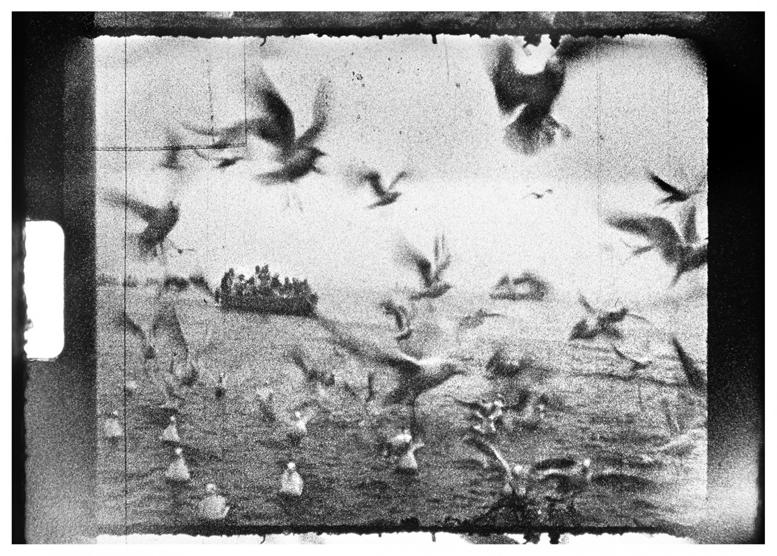 Michael Ackerman - Michael Ackerman