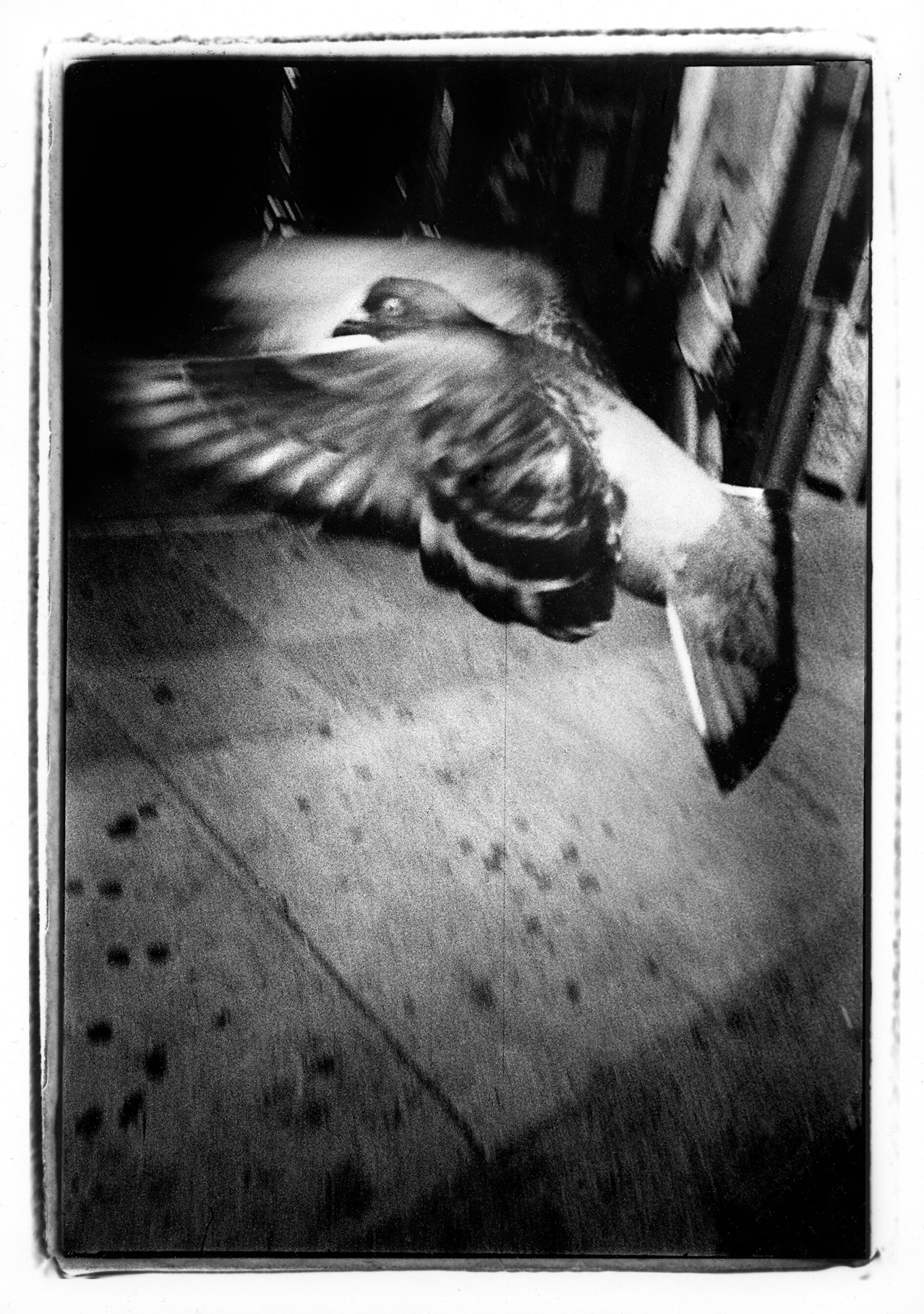 Michael Ackerman - Photography